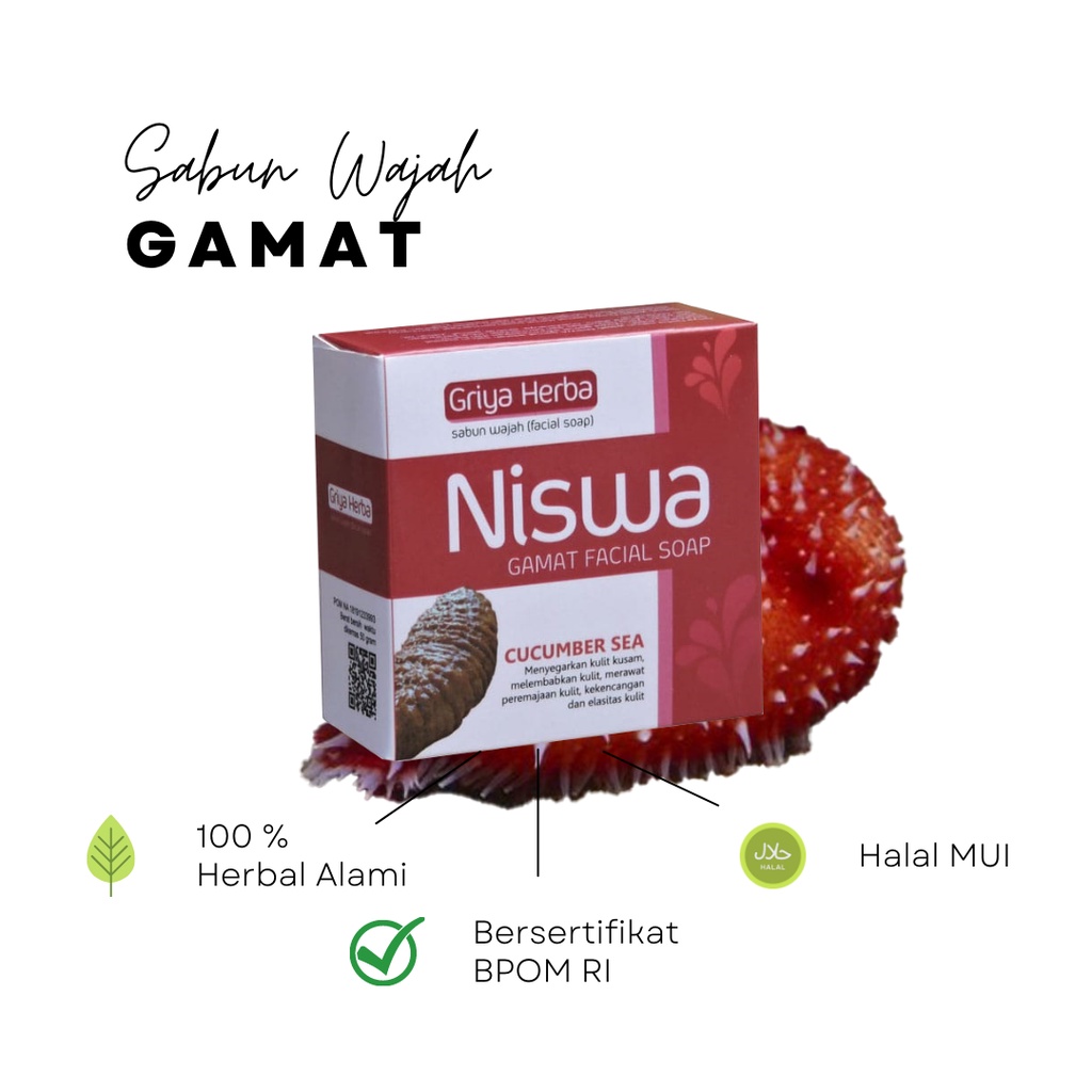 Jual Niswa Gamat Sea Cucumber Sabun Cuci Muka Batang Batangan Herbal ...