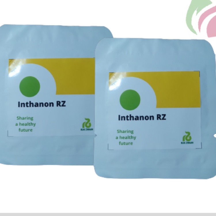 Jual Benih buah melon INTHANON RZ kemasan 100 biji /seed asli F1 ...