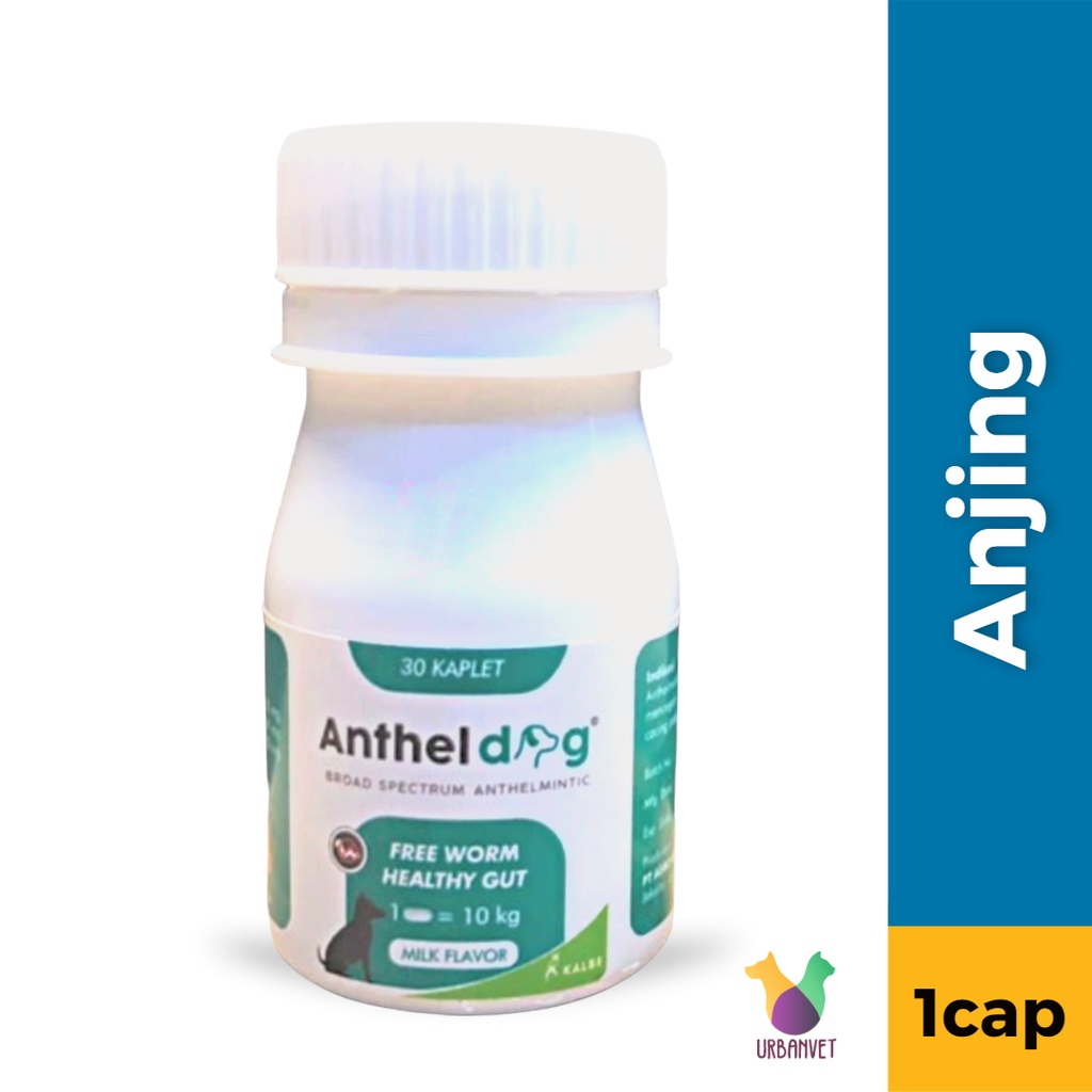 Jual (1 kapsul) ANTHEL DOG Obat Cacing Anjing by Kalbe - UrbanVet ...