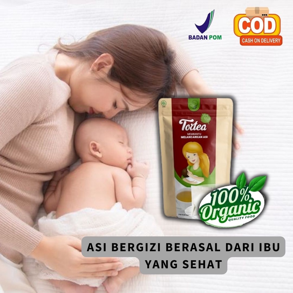 Jual Teh Celup Torbangun Minuman Pelancar Asi Booster Hadiah Ibu ...