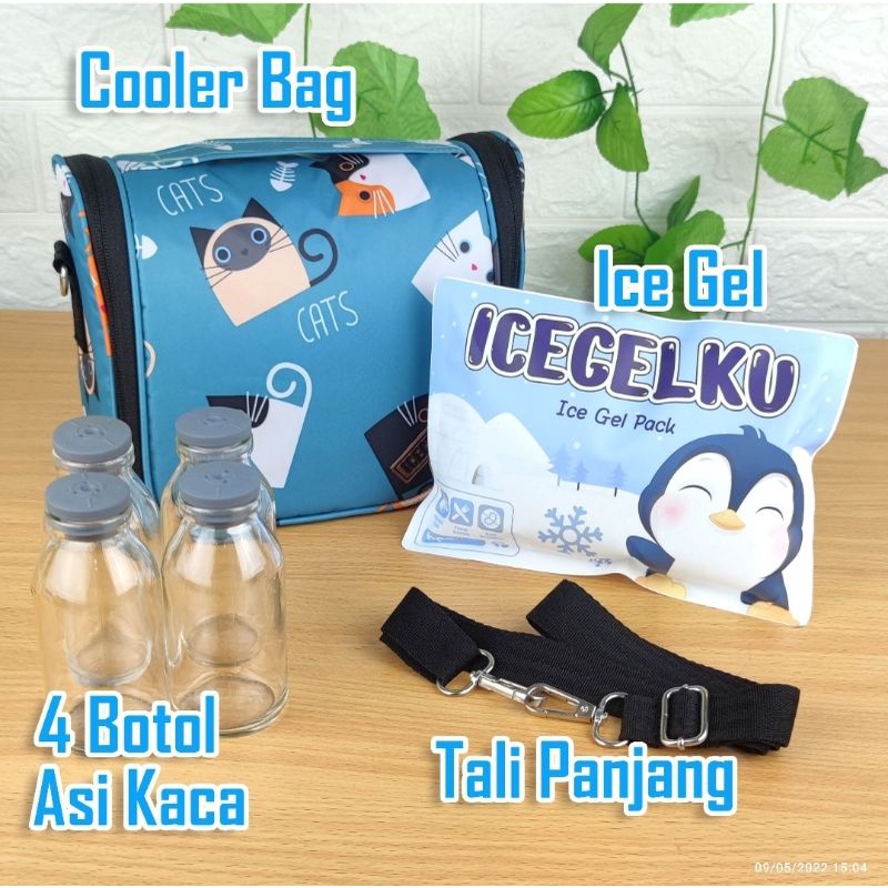 Jual Paket Cooler Bag Botol Asi 4pc + Ice Gel Aneka Motif - Cooler Bag ...