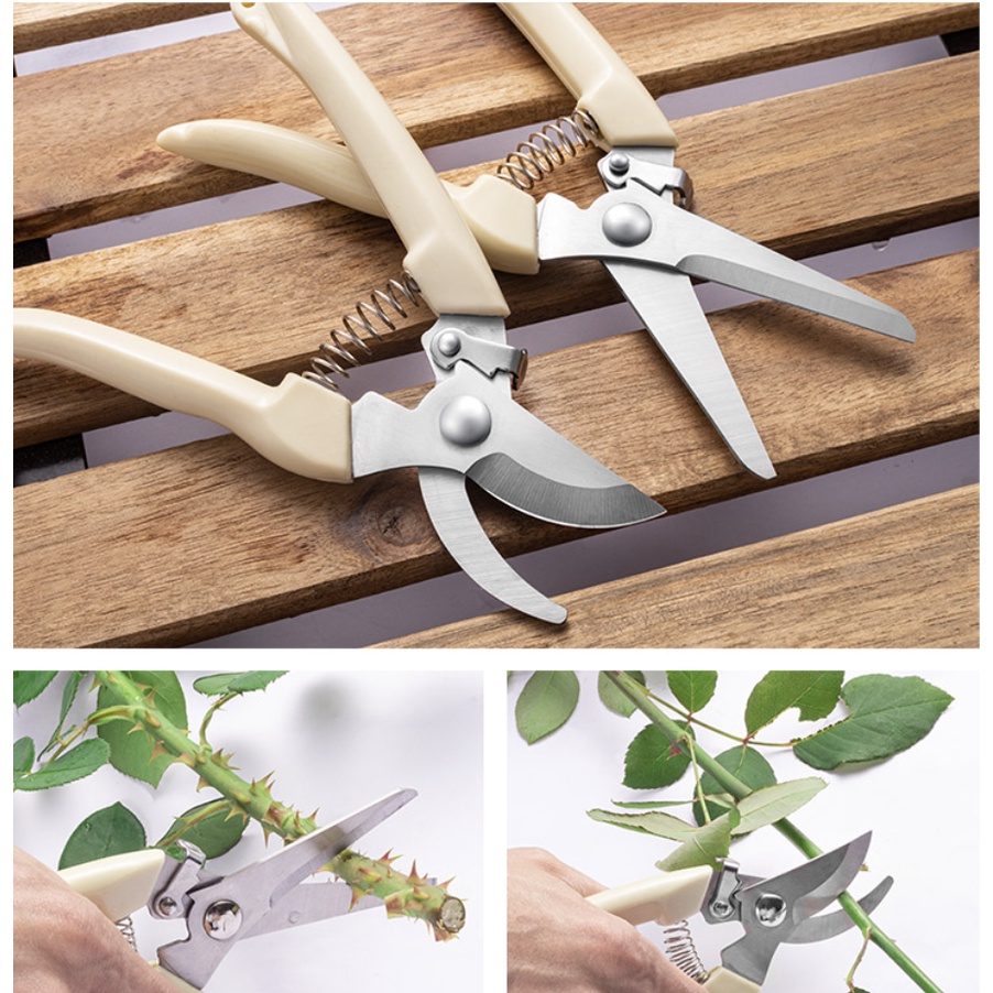 Jual Gunting Bunga Stainless Steel / Gunting Taman / Gunting Batang ...