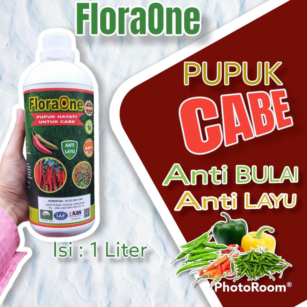Jual Pupuk Cair FLORAONE cabai rawit mengatasi layu fusarium , Fungisida hayati tanaman cabe ...
