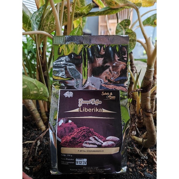 Jual Kopi Liberika Asli Jember | Shopee Indonesia