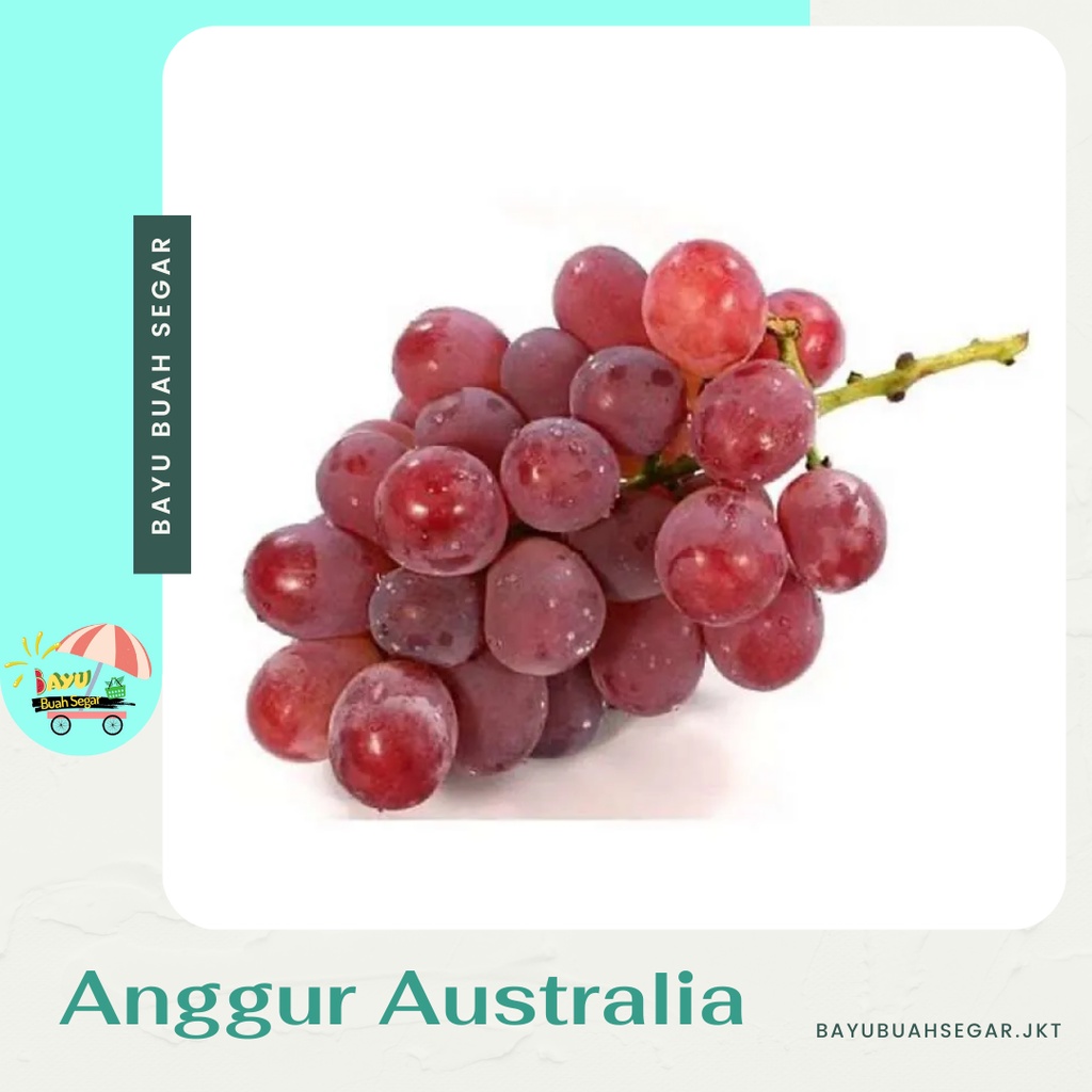 Jual Buah Anggur Australia Segar | Shopee Indonesia