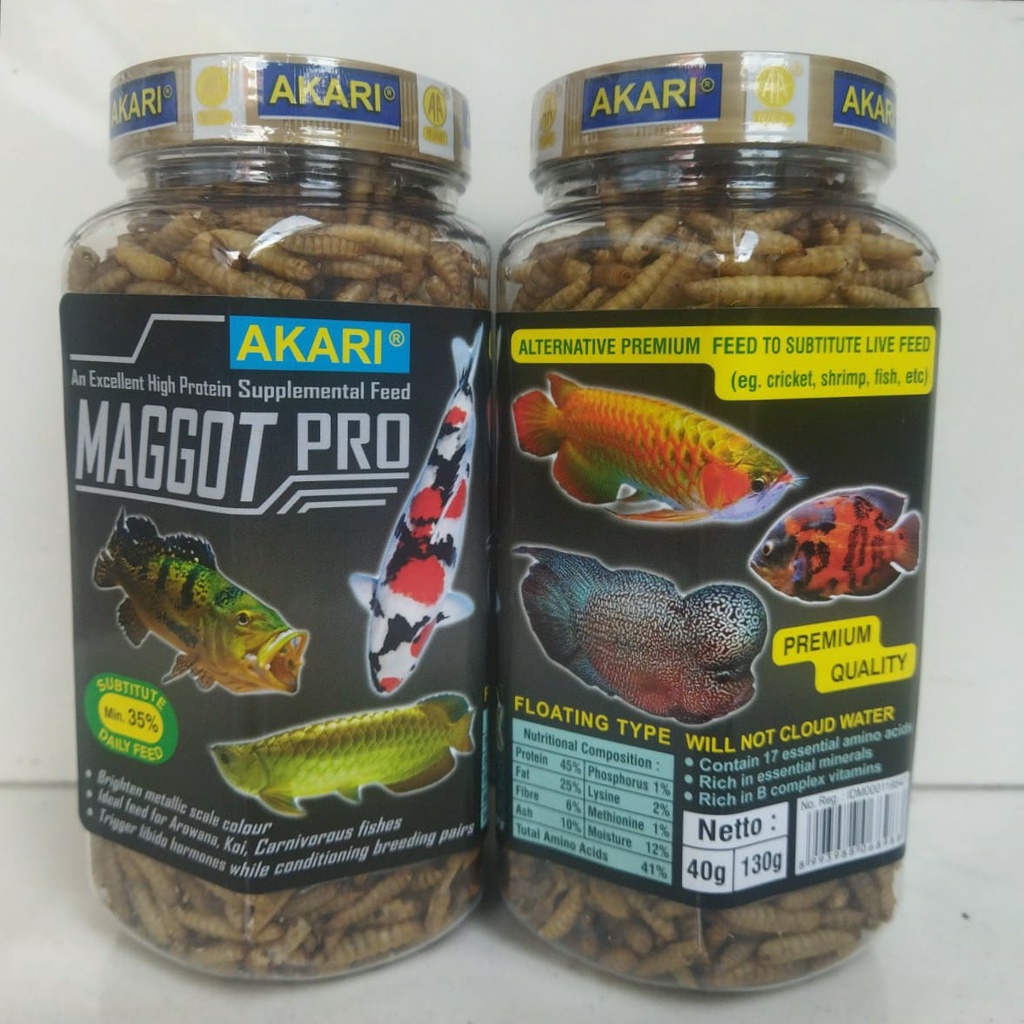 Jual MAGGOT AKARI magot pro magot red magot pet 130gr | Shopee Indonesia