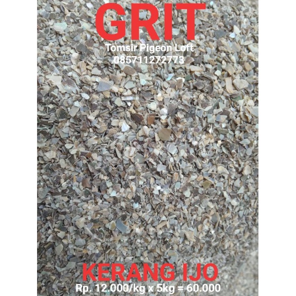 Jual GRIT Untuk BURUNG & HEWAN UNGGAS LAINYA.. (Kerang IJO) | Shopee ...