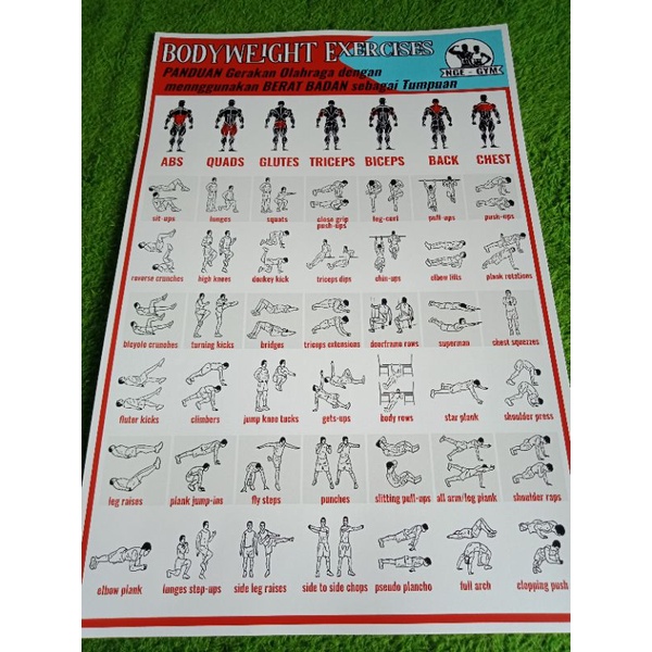 Jual POSTER PANDUAN GERAKAN GYM | Shopee Indonesia
