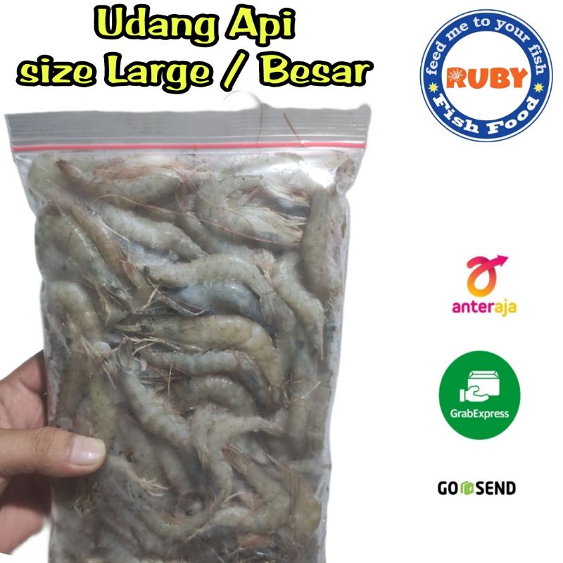 Jual UDANG API BESAR / UDANG API BEKU / UDANG BEKU SIZE BESAR | Shopee ...