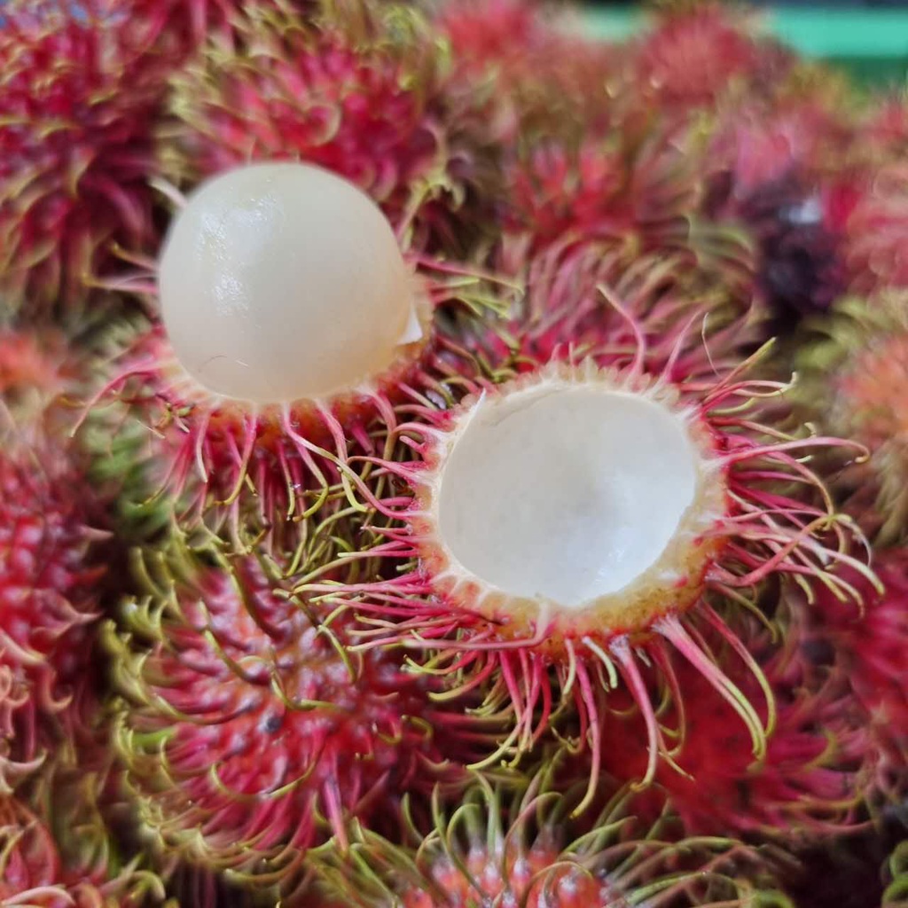 Jual Rambutan BINJAI SEGAR Julie Mango Dikirim Langsung dari Kebun 1x24 ...