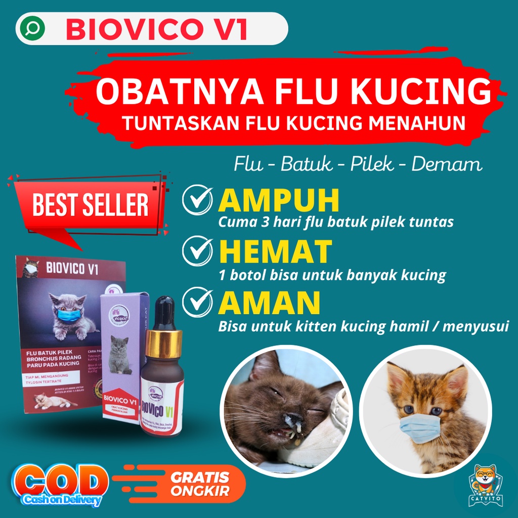 Jual BIOVICO V1 Obat Kucing FLU Pilek Demam Virus Kitten Antibiotik ...