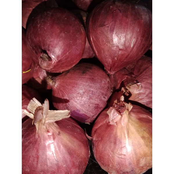 Jual BAWANG MERAH PEKING / BAWANG INDIA | Shopee Indonesia