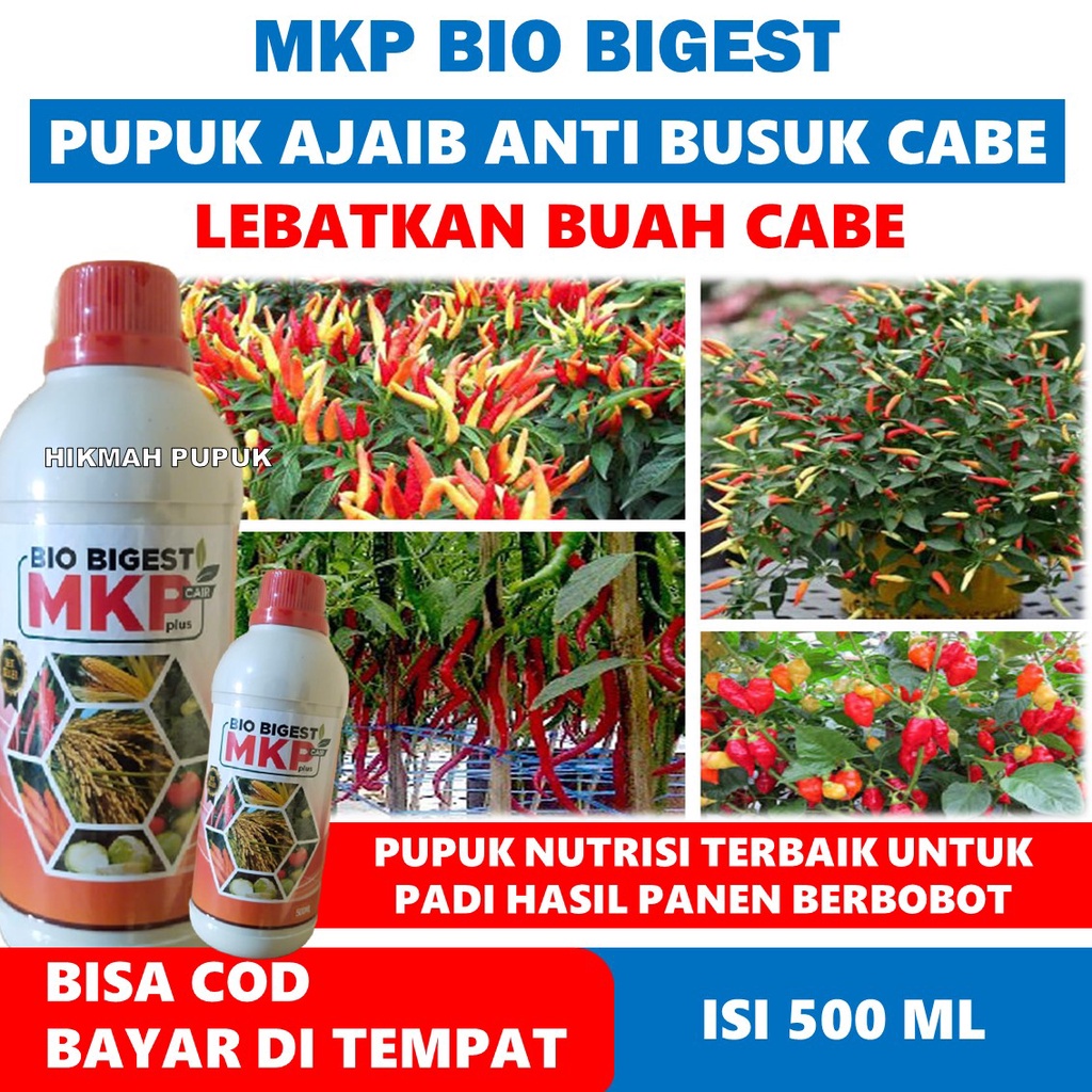 Jual PUPUK MKP CAIR BIO BIGEST isi 500 ML Pupuk Semprot Pelebat Tanaman Cabe Rawit - Pupuk ...