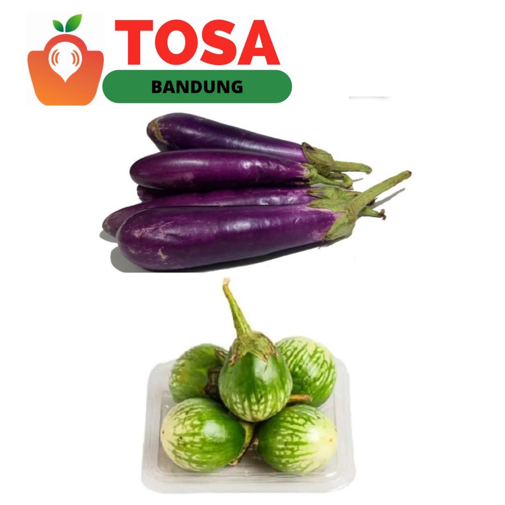 Jual Grosir Terong Ungu/Terong lalap | Shopee Indonesia