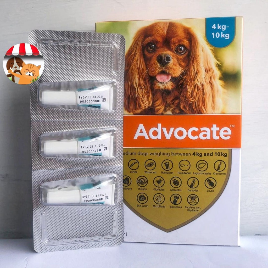Jual Advocate For Medium Dog Bb 4kg-10kg - Obat Kutu & Cacing Anjing ...