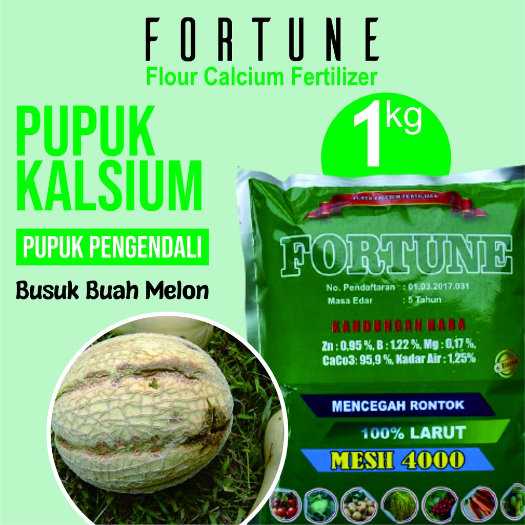 Jual PROMO FORTUNE isi 1 KG OBAT BUSUK BUAH MELON - Pupuk Layu Pada ...