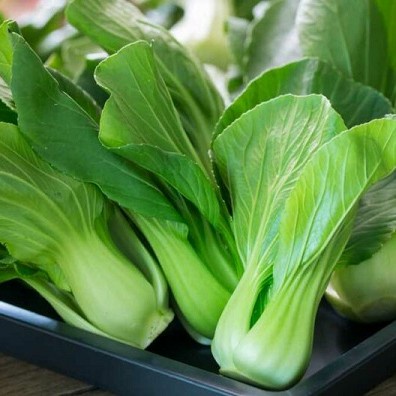 Jual 200 BUTIR BIJI/BENIH SAYURAN SAWI CAKCOY | Shopee Indonesia