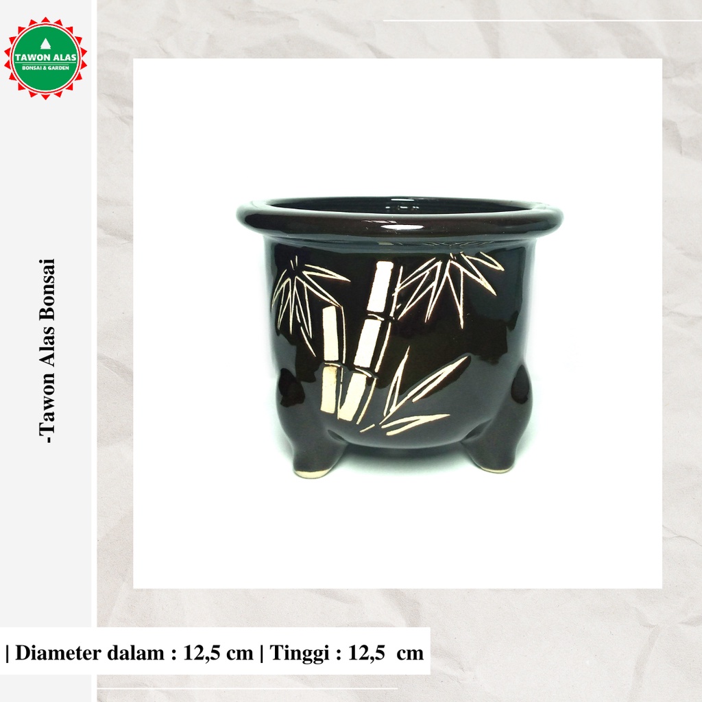 Jual Pot Keramiki Bunga Unik | Tanaman Sukulen dan Kaktus | Shopee ...