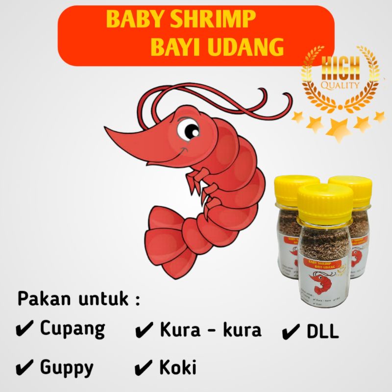 Jual baby shrimp / bayi udang / mini shrimp / pakan udang makanan ikan ...