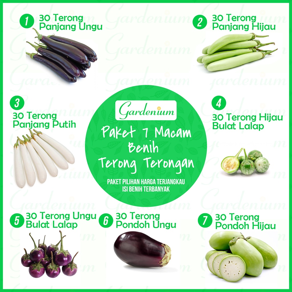 Jual Paket 7 Macam Benih Tananam Terong Terongan Paktani | Shopee Indonesia