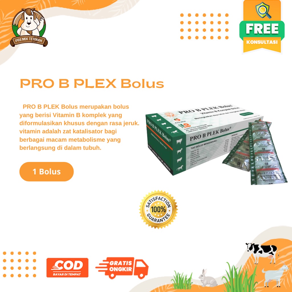 Jual PRO B PLEK BOLUS 1 BOLUS VADCO - Vitamin B kompleks RASA JERUK Hewan Sapi Kambing Domba B ...