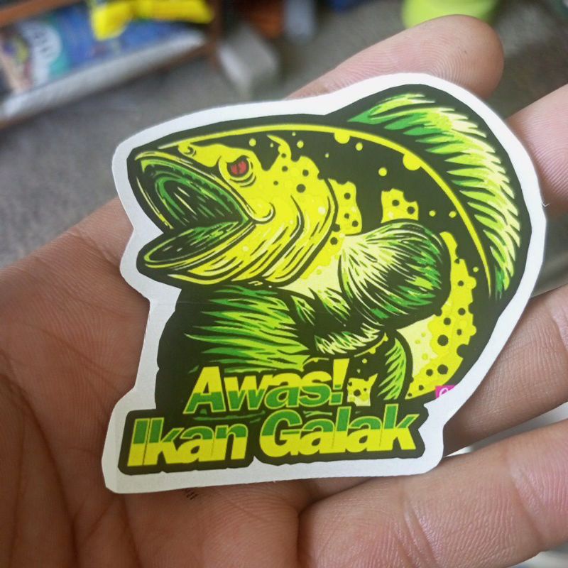 Jual Stiker ikan Channa/stiker Chana Ys/stiker Chana pulcra/stiker ...