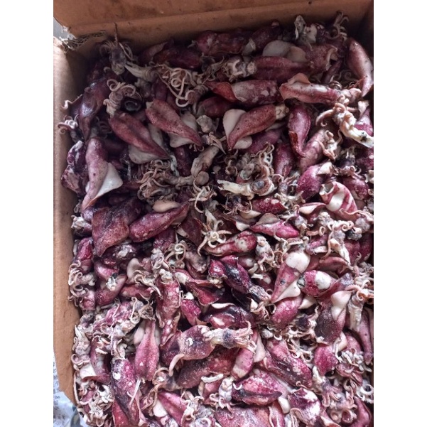 Jual cumi asin jarum super/1 kg size 5-7 cm | Shopee Indonesia