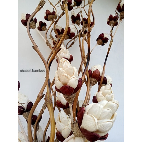 Jual 1 Bambu Ulir Natural Klobot Nanas Mini Putih Shopee Indonesia