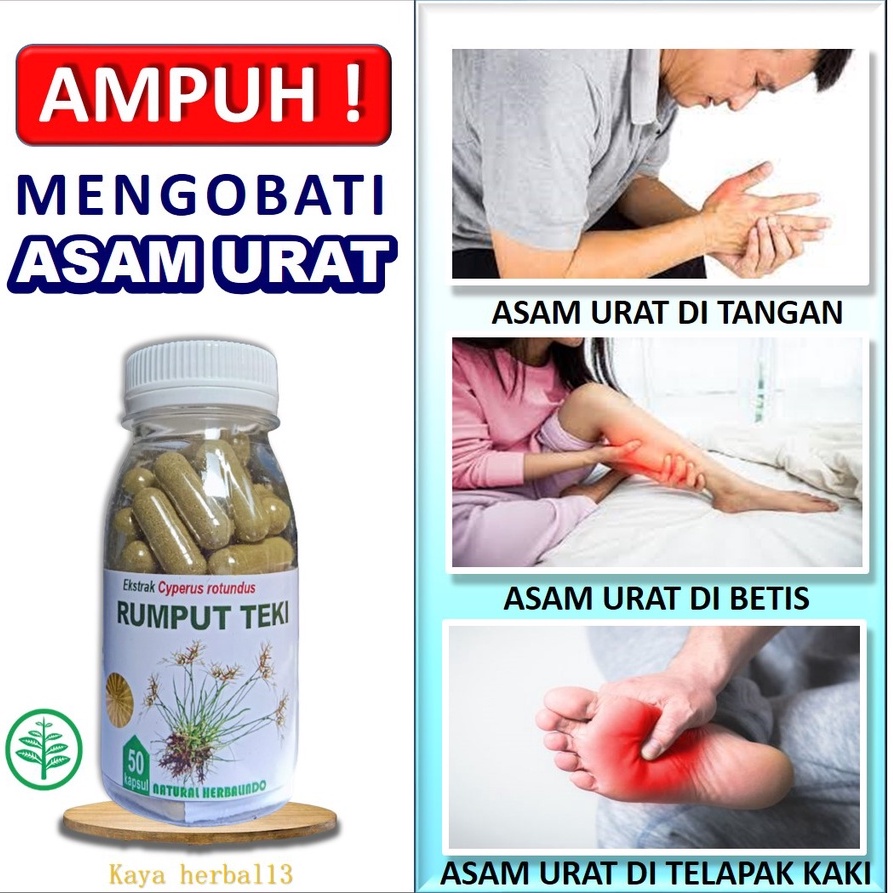 Jual obat pegal nyeri sendi rematik rumput teki kapsul herbal alami ...