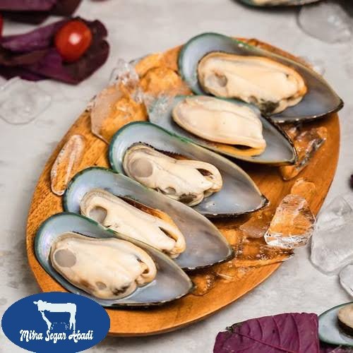 Jual GREEN MUSSELS IMPORT / KERANG HIJAU IMPORT @1KG | Shopee Indonesia