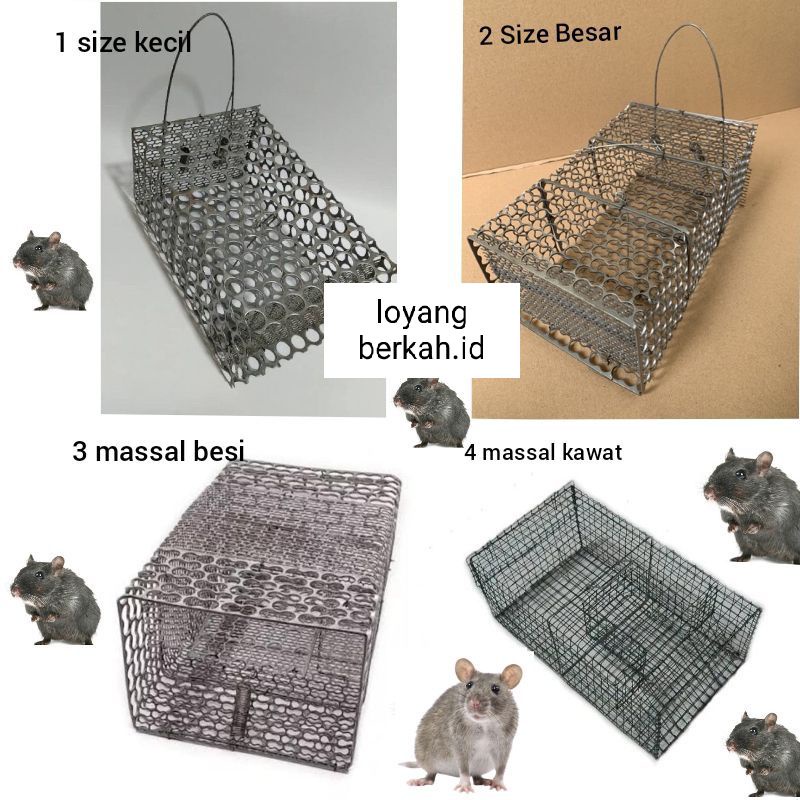 Jual perangkap tikus/jebakan tikus | Shopee Indonesia