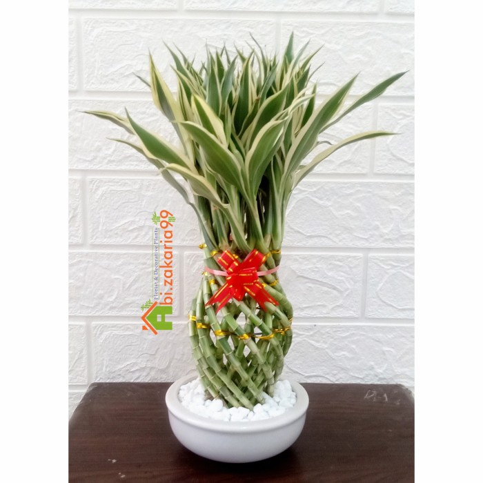 Jual PAKET LENGKAP PAJANGAN / HIASAN MEJA/ MEJA KANTOR BAMBU HOKI MINI ...