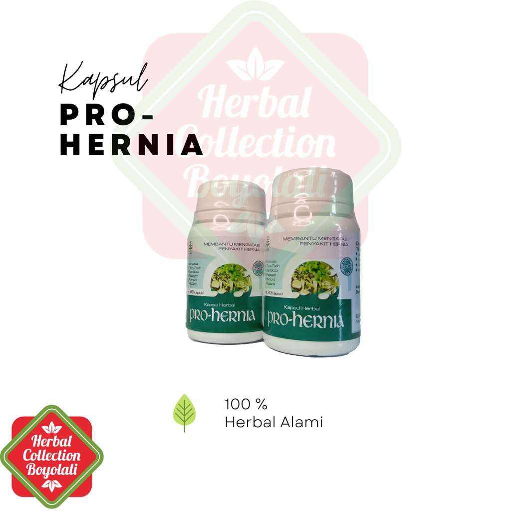 Jual Kapsul pro hernia obat herbal hernia atau turun bero dengan kapsul ...