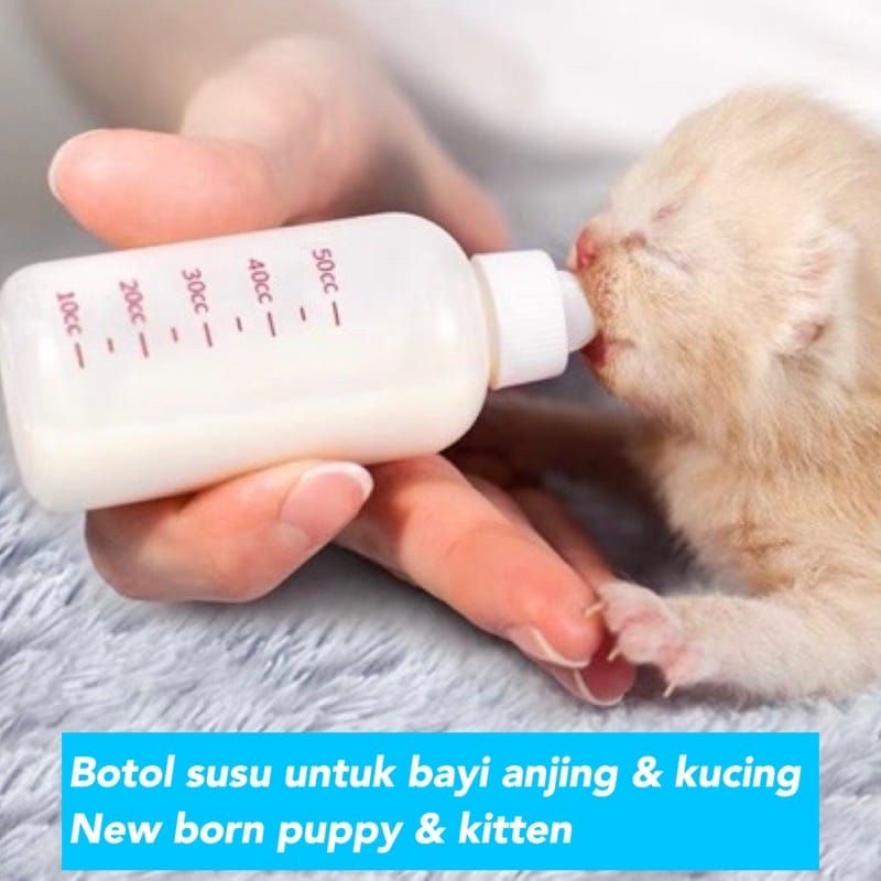 Jual Hai - Botol Susu 60ml untuk Anjing / Kucing New Born / Dot Botol ...