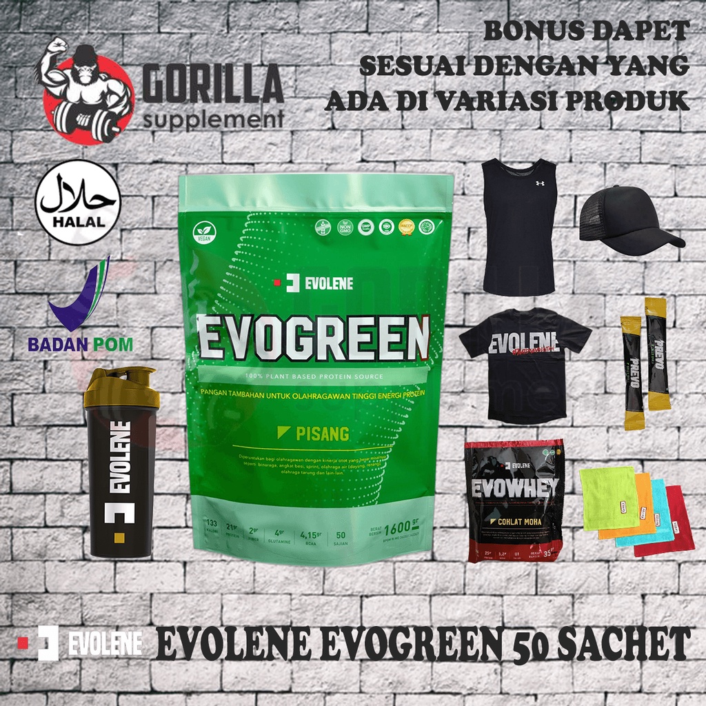 Jual EVOLENE EVOGREEN 50 Sachet / 1600 Gram Vegan Protein Lactose Free ...