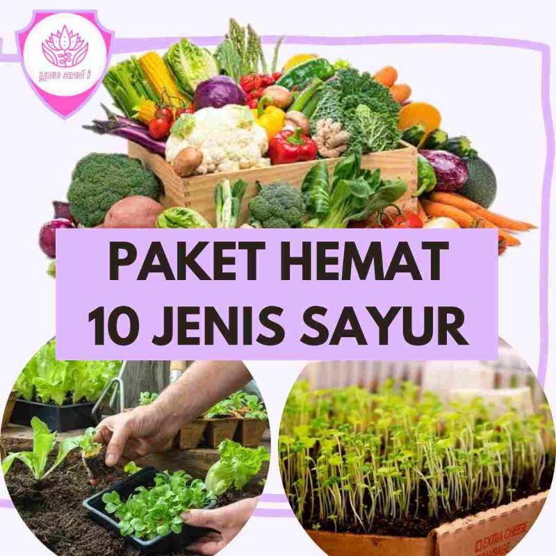 Jual PAKET HEMAT 10 Jenis Benih Sayur | Shopee Indonesia