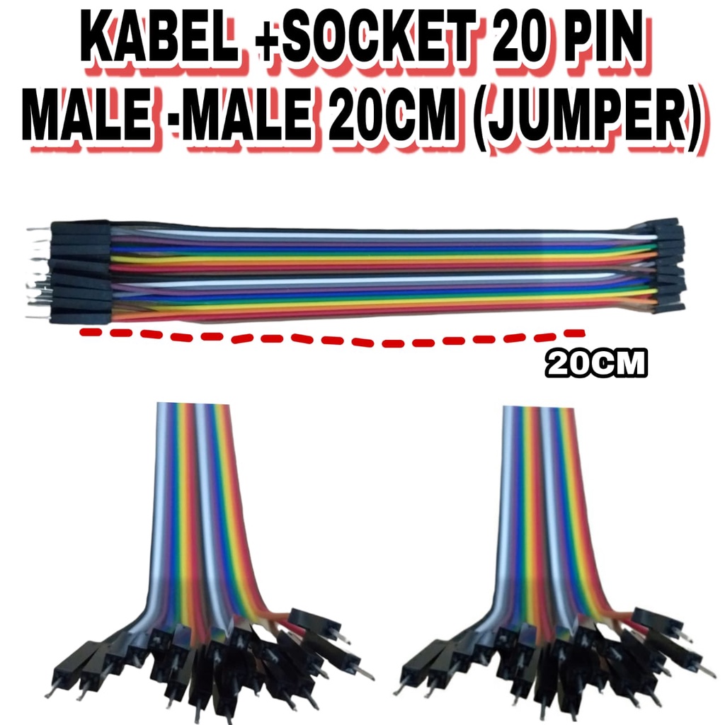 Jual KABEL +SOCKET 20 PIN MALE-MALE 20CM (JUMPER) /2 PCS | Shopee Indonesia