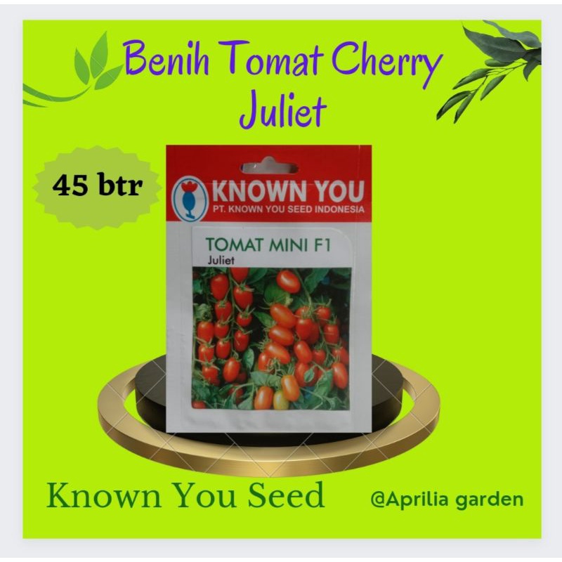 Jual Benih Tomat Chery/Tomat Mini Juliet Original Known You Seed ...