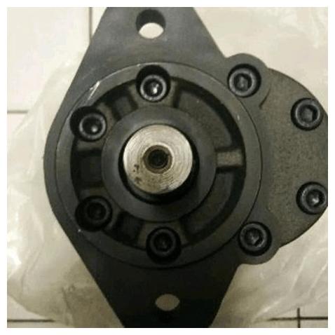 Jual Pompa Hydraulic Gear Pump 22Cc Pg30-22 Jaguar Berkualitas | Shopee Indonesia