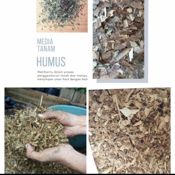 Jual media tanam bambu humus 2 kg | Shopee Indonesia