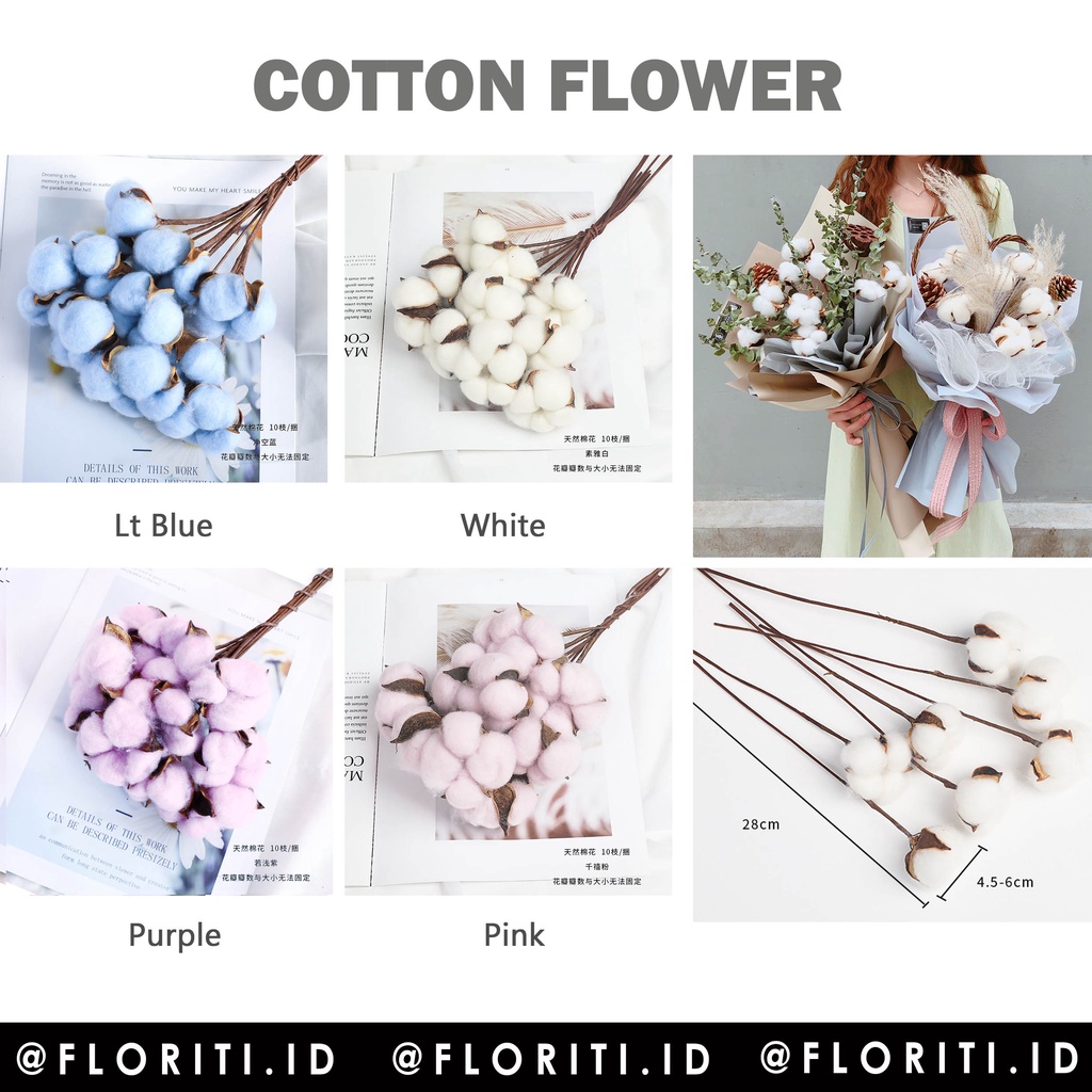 Jual (10 tangkai) Bunga Kapas Cotton Dried Flower | Shopee Indonesia