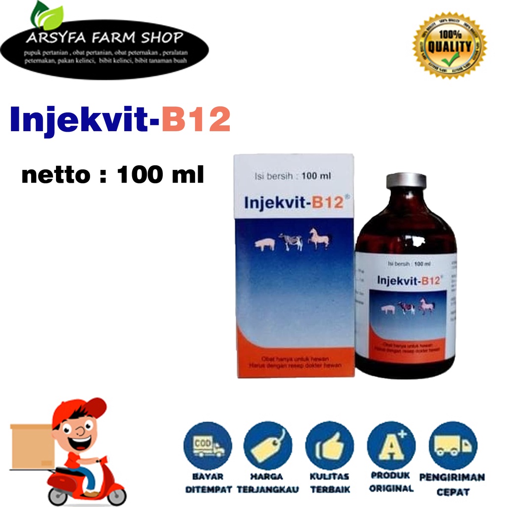 Jual INJEKVIT B12 100ml Injeksi Untuk Perbaiki Kondisi Tubuh Anemia ...