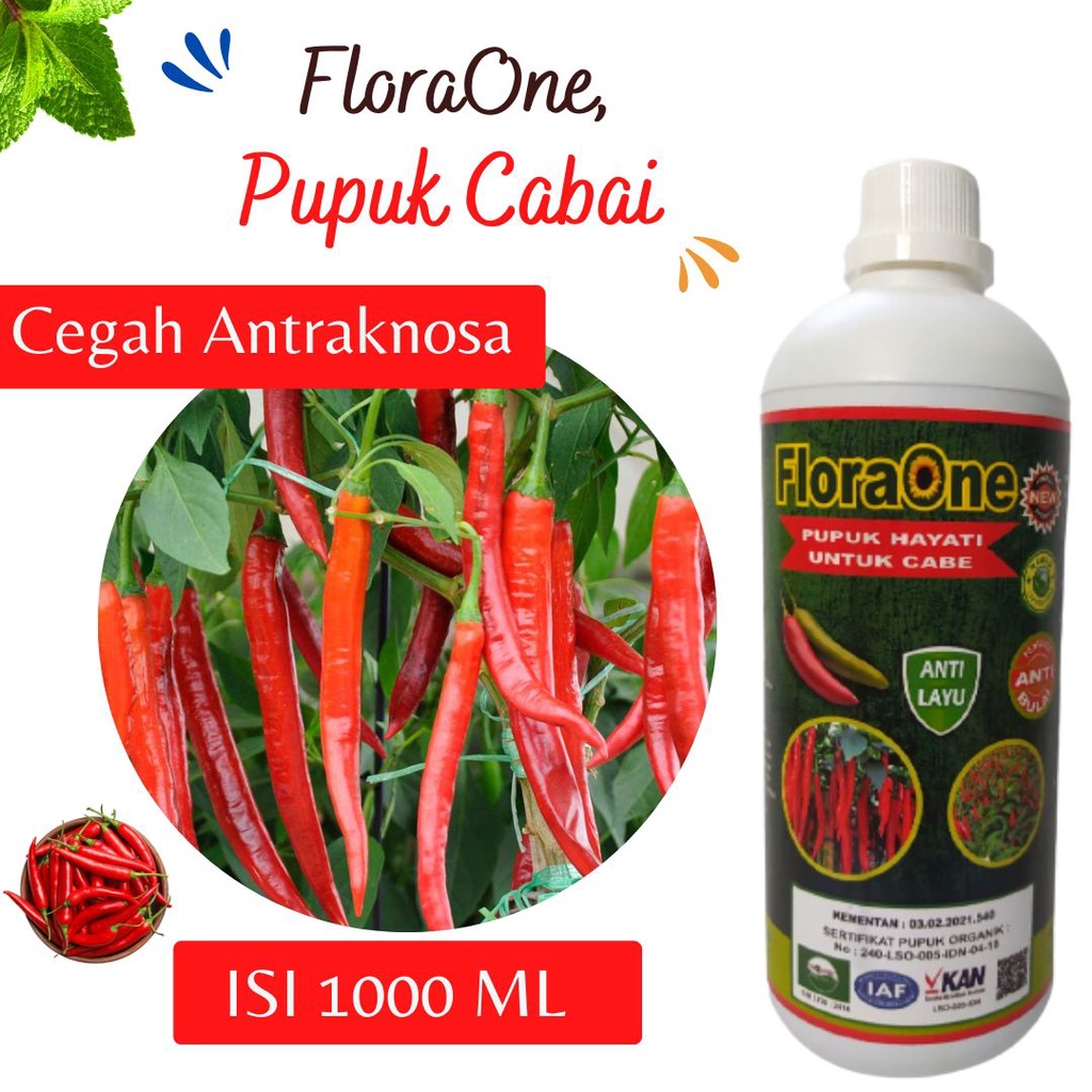 Jual Pupuk Cabai Hasil Melimpah, Obat Fungisida Untuk Cabe Rawit, Pupuk Hayati Cabe | Shopee ...