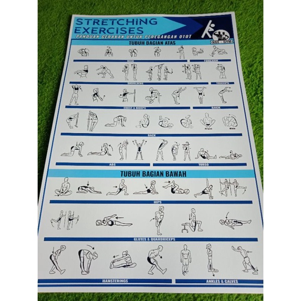 Jual POSTER PANDUAN GERAKAN GYM | Shopee Indonesia