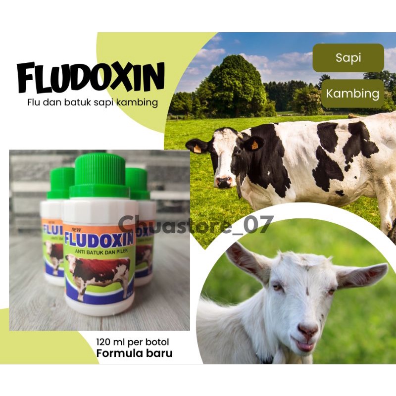 Jual Fludoxin obat batuk flu dan pilek pada kambing dan sapi 120ml ...
