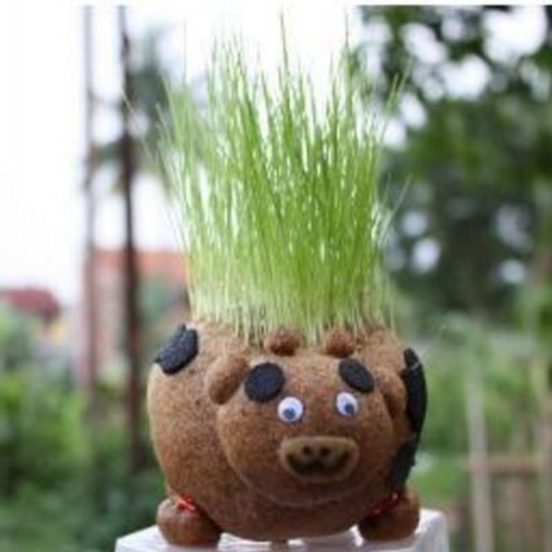 Jual boneka horta poty tumbuhan edukasi belajar tanaman hidroponik ...