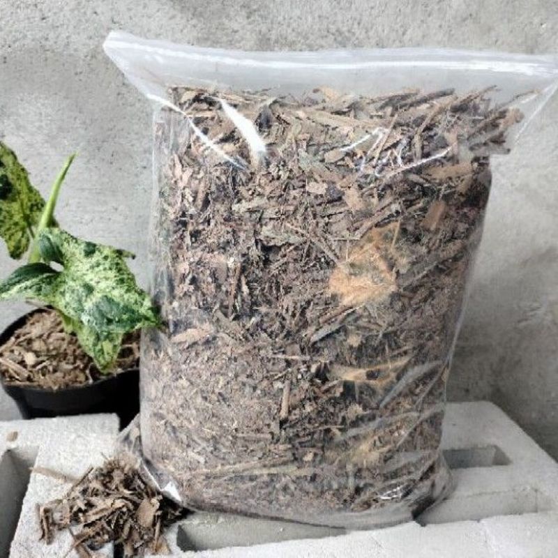 Jual daun bambu kering | Shopee Indonesia Jual daun bambu kering | Shopee Indonesia