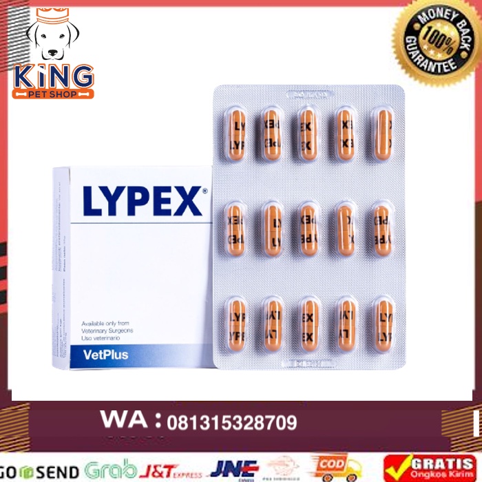 Jual Lypex Vet Plus Kapsul Enzim Anti Diare Kucing Anjing Pankreas ...