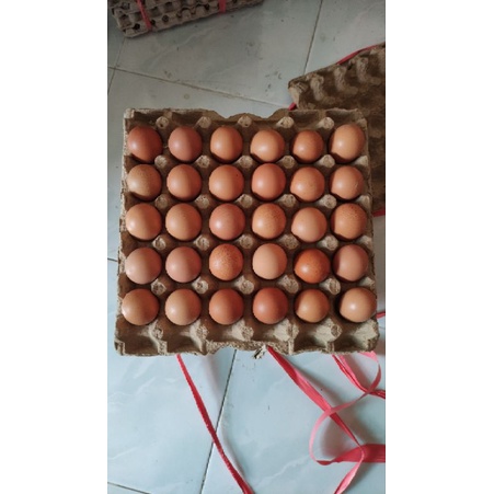 Jual Telur Ayam Negeri 1 Tray (isi 30 butir) | Shopee Indonesia