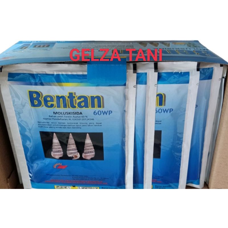Jual Bentan 60 wp 50 gr | Shopee Indonesia